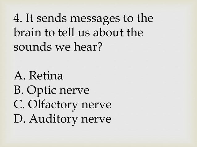 Grade 3 science quiz bee | PPTX