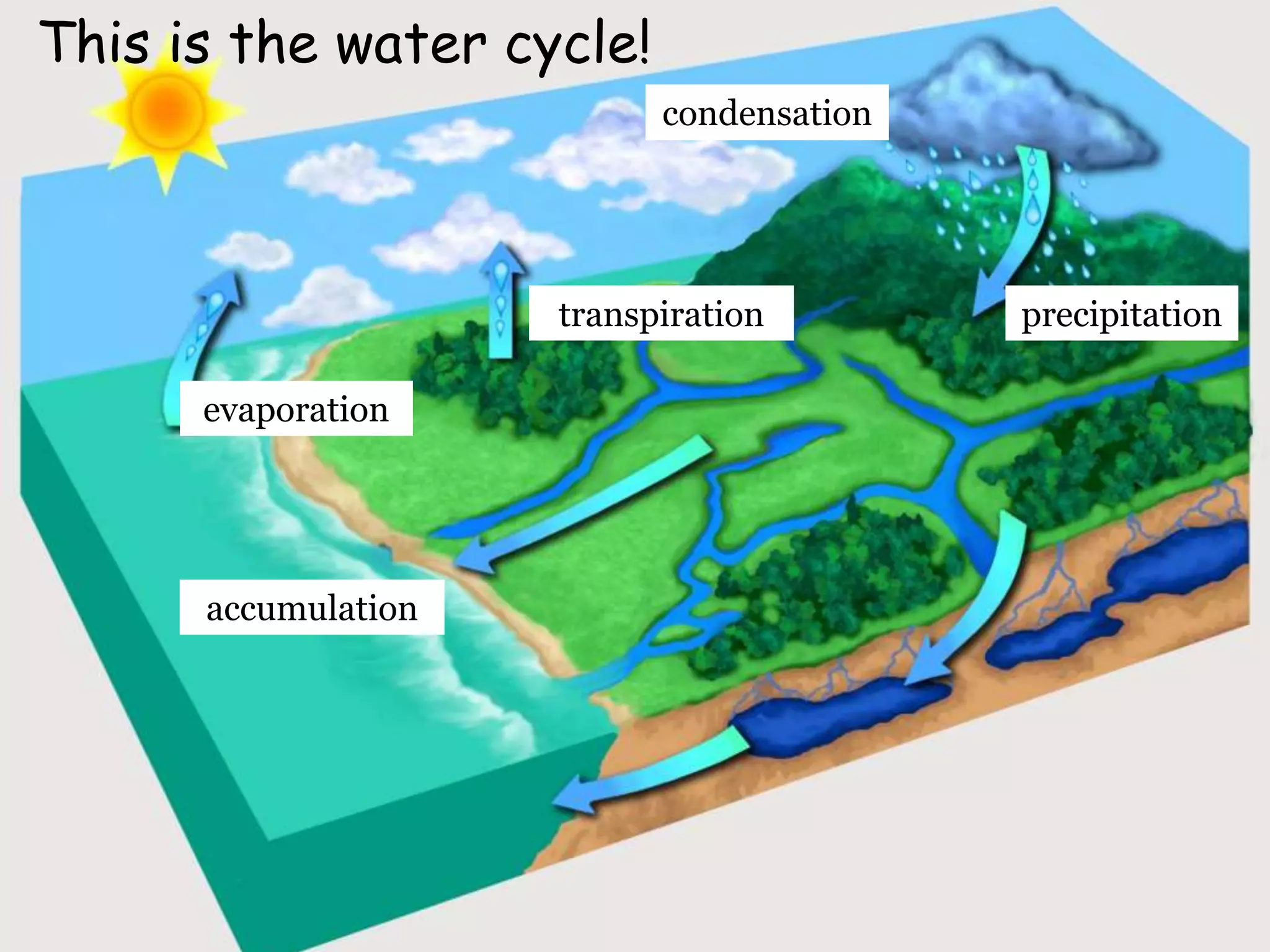 grade 3 water cycle | PPT