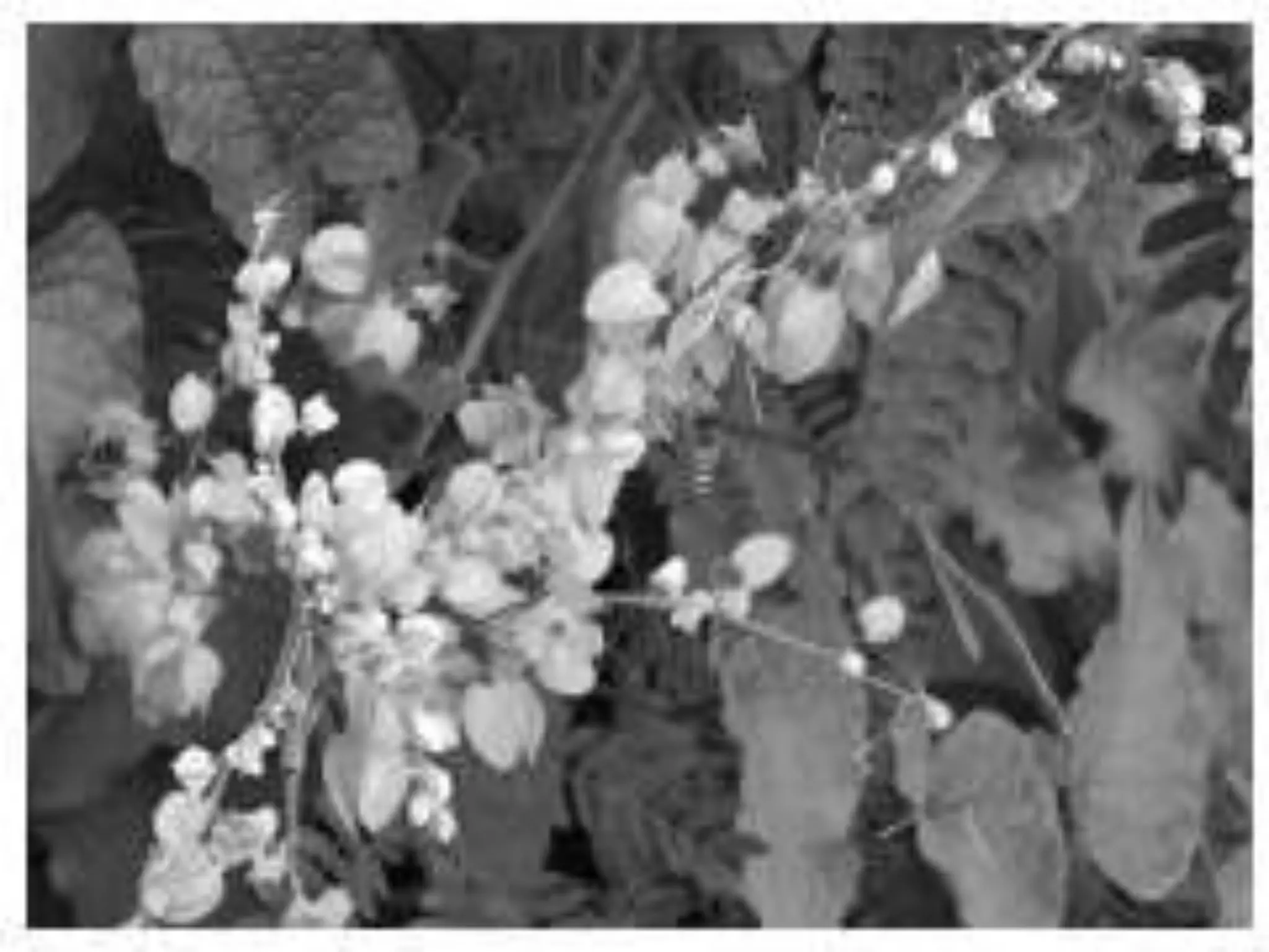 grade4-e-161030003007.pdf