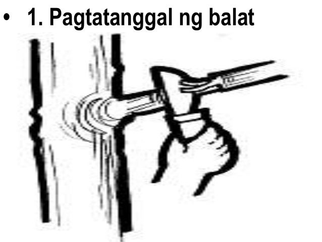 Grade 4 e.p.p quarter 3 week 4