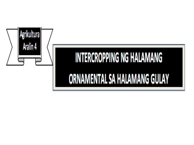 Grade 4 e.p.p. quarter 3 week 1 aralin 4 agriculture- intercropping ng halamang ornamental sa ...