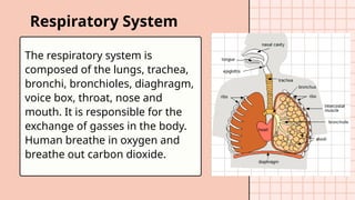 Grade 4 - Science.pptx VVBBB BBNNM BBN B | PPT
