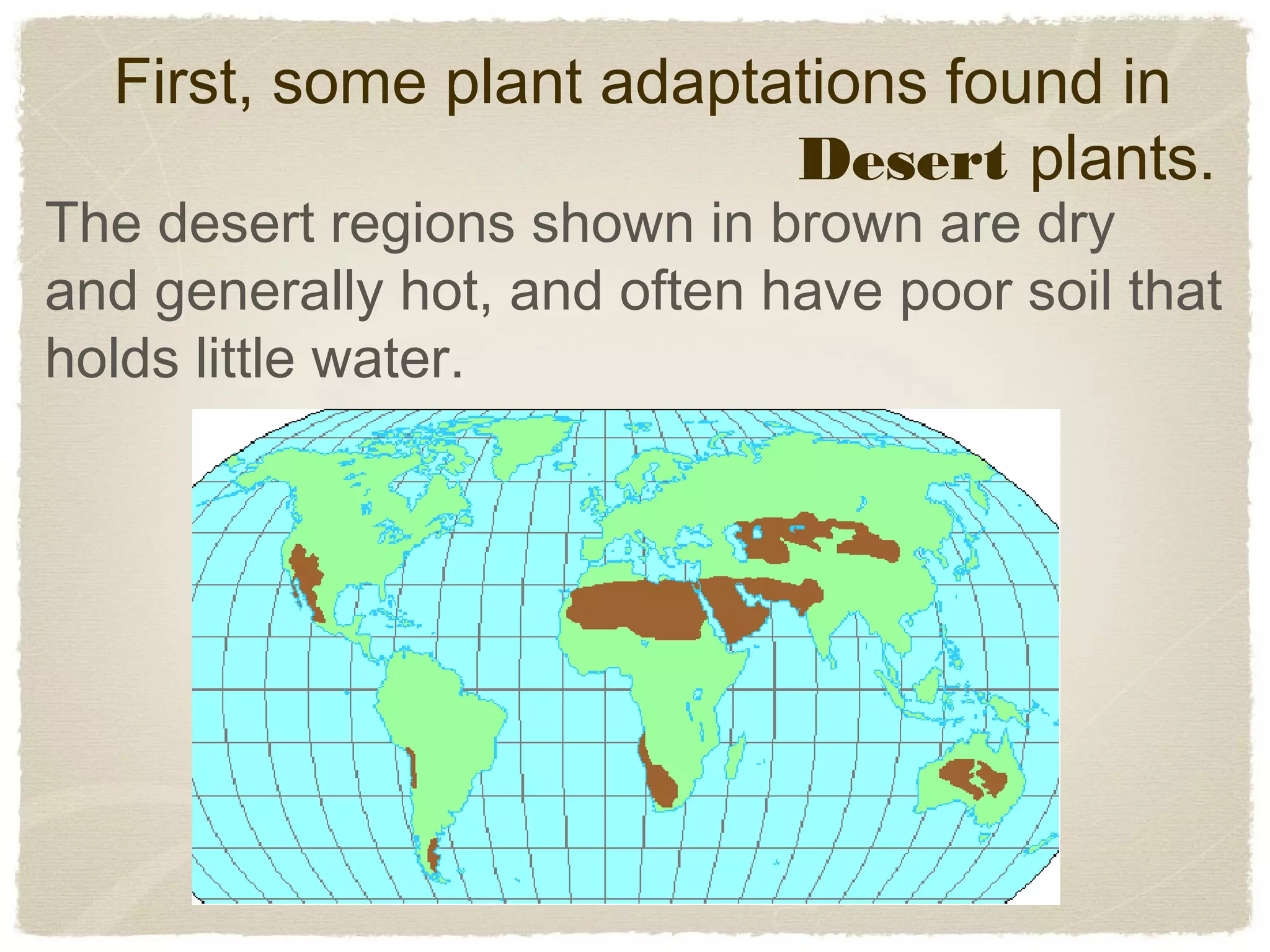 Grade 4 adaptation slides | PPT
