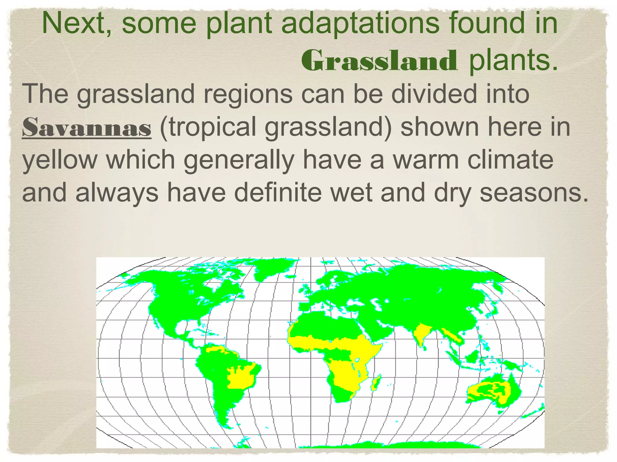Grade 4 adaptation slides | PPT