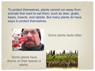 Grade 4 adaptation slides | PPT