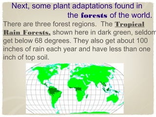 Grade 4 adaptation slides | PPT
