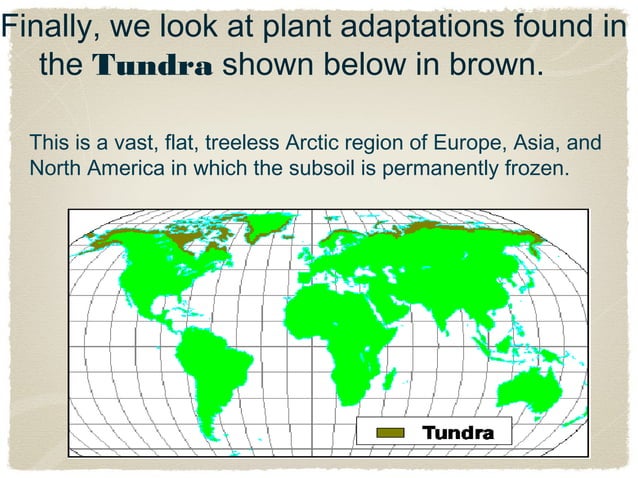 Grade 4 adaptation slides | PPT