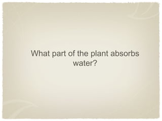 Grade 4 adaptation slides | PPT