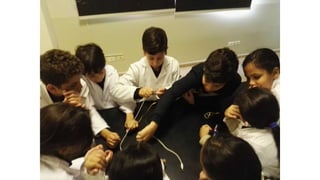 Grade 4 designing different electric circuits in the science lab | PPT