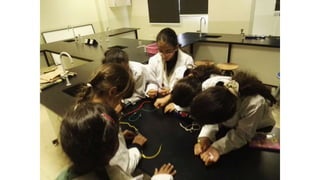 Grade 4 designing different electric circuits in the science lab | PPT
