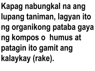 Grade 4 e.p.p. quarter 3 week 3 wastong pamamaraan sa paghahanda ng ...