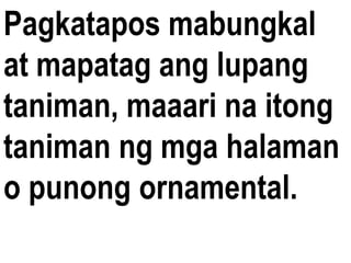 Grade 4 e.p.p. quarter 3 week 3 wastong pamamaraan sa paghahanda ng ...