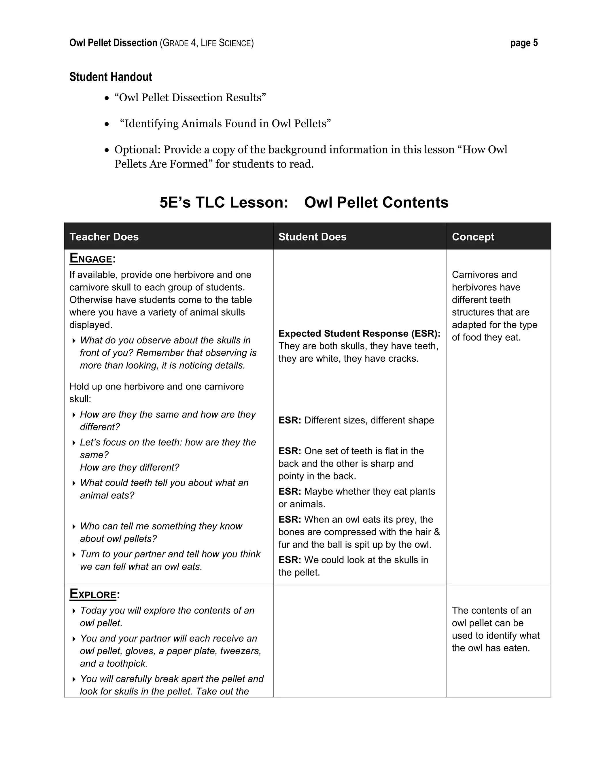 Owl Pellet Dissection Lesson Plan | PDF