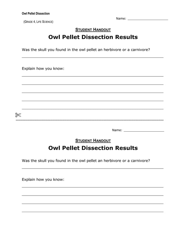 Owl Pellet Dissection Lesson Plan | PDF | Birds | Pets