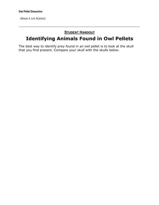 Owl Pellet Dissection Lesson Plan | PDF