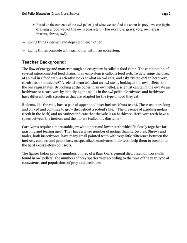 Owl Pellet Dissection Lesson Plan | PDF | Birds | Pets