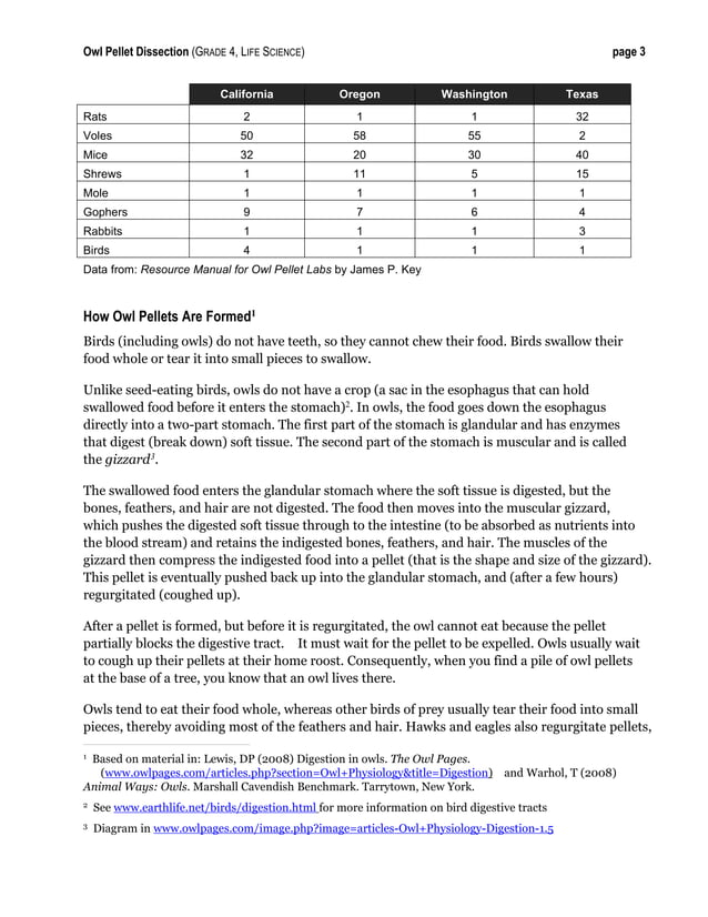 Owl Pellet Dissection Lesson Plan | PDF | Birds | Pets