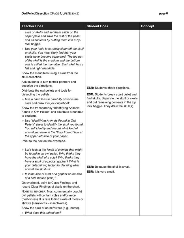 Owl Pellet Dissection Lesson Plan | PDF | Birds | Pets