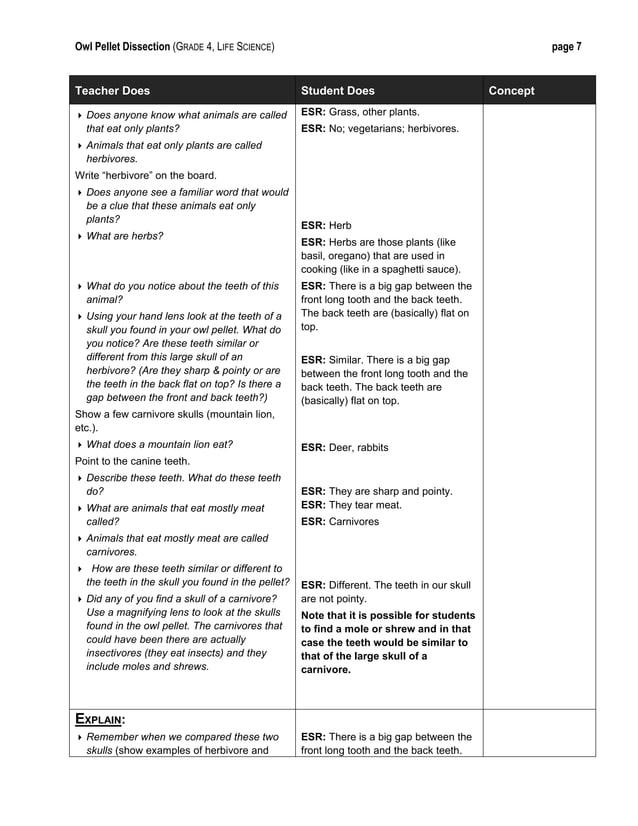 Owl Pellet Dissection Lesson Plan | PDF | Birds | Pets