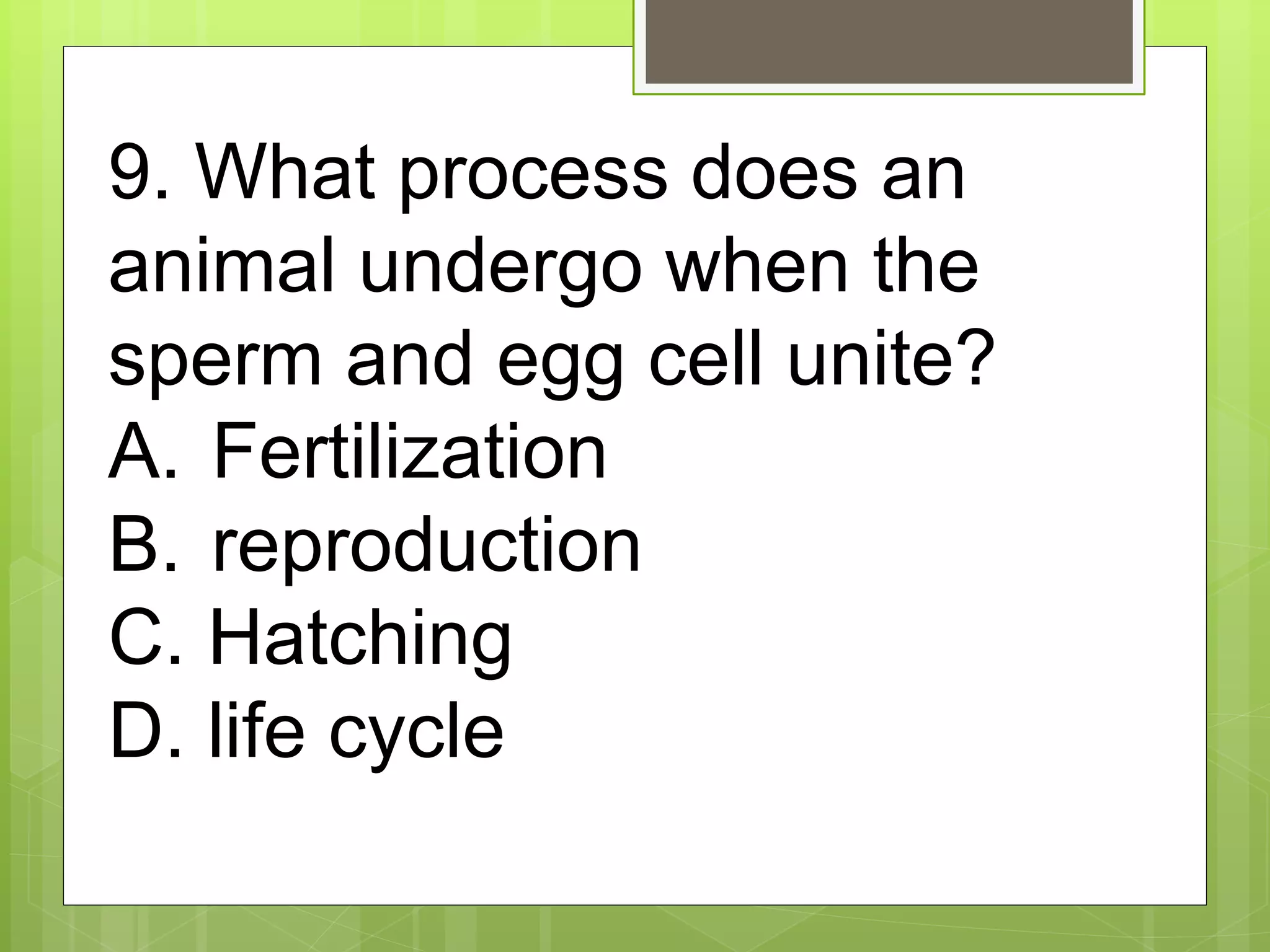 Grade 4 science quiz bee | PPTX