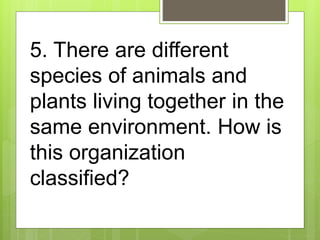 Grade 4 science quiz bee | PPTX