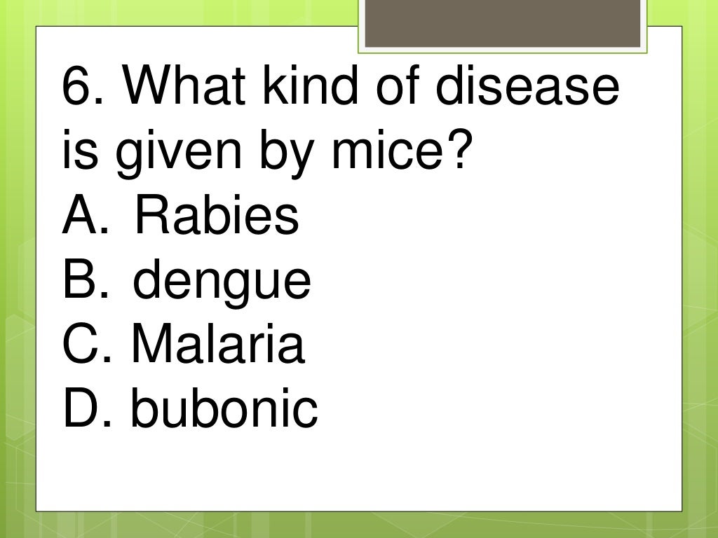 Grade 4 Science Quiz Bee Grade 4 Science Quiz Bee