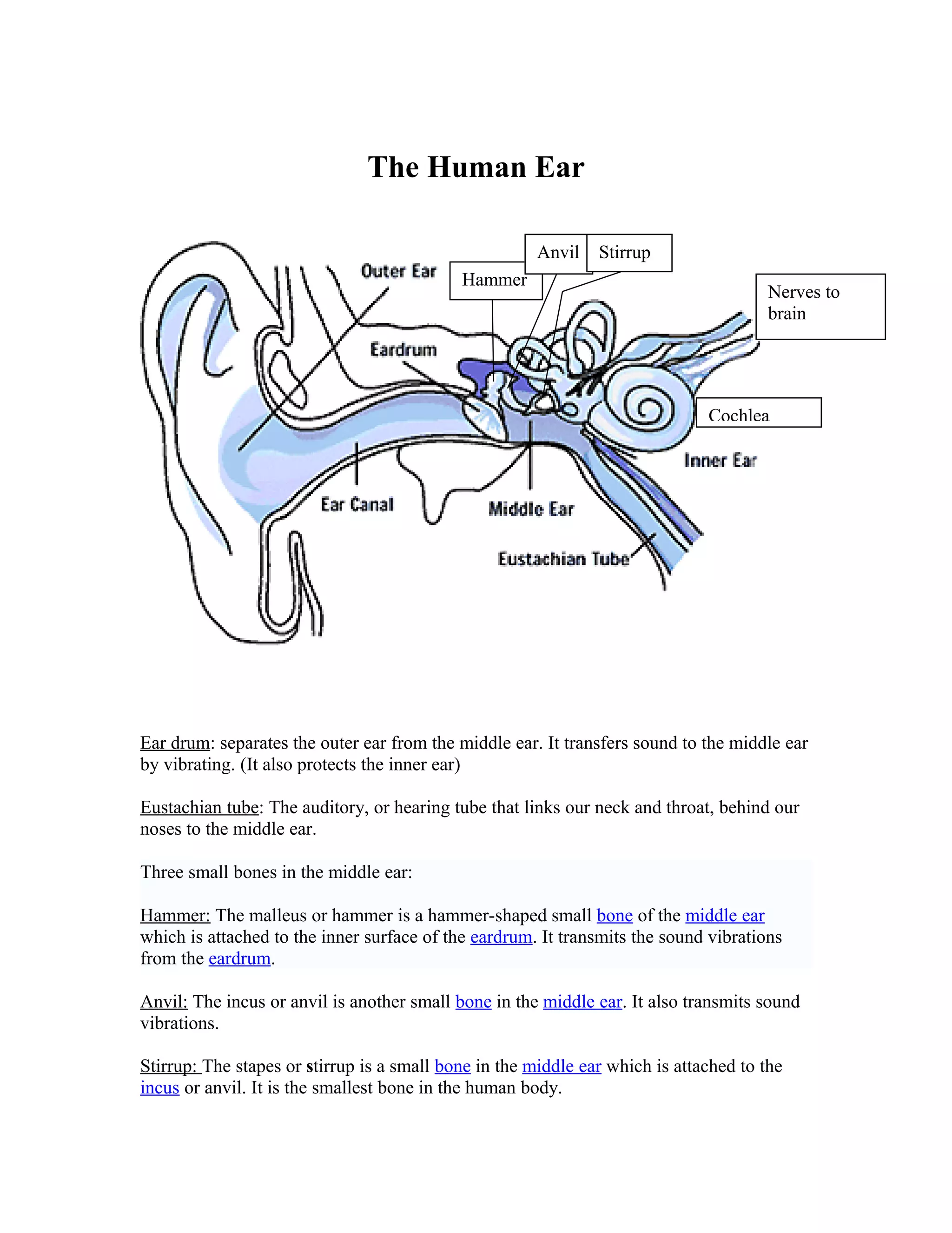 Grade 4 science sound unit | DOC