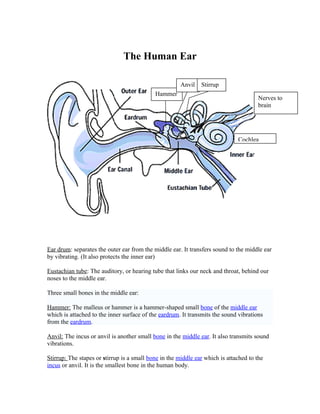 Grade 4 science sound unit | DOC