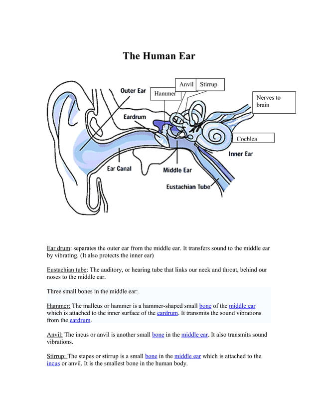 Grade 4 science sound unit | DOC