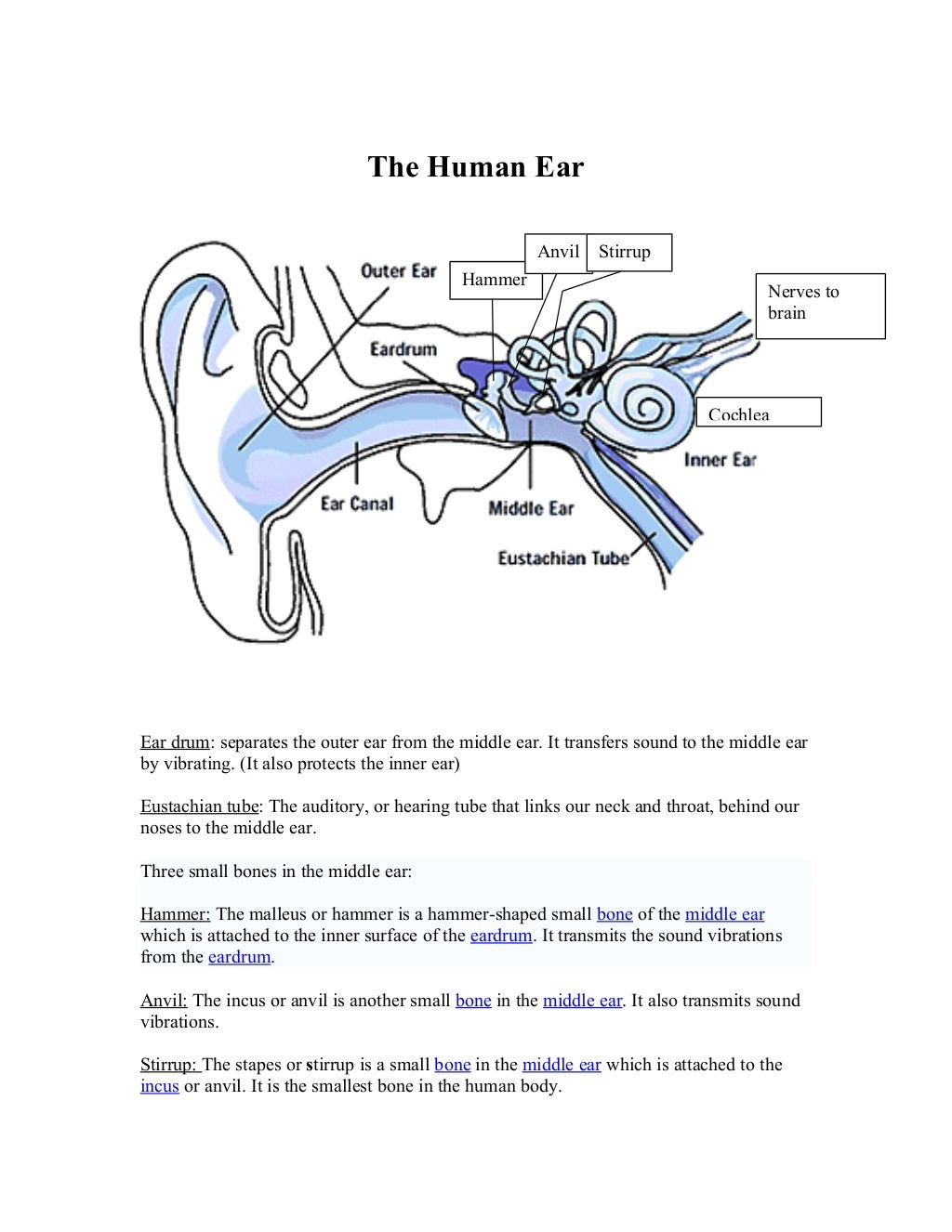 Grade 4 science sound unit