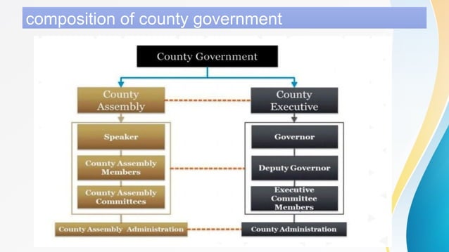 grade 4 CBC SOCIAL STUDIES ABOUT GOVERNMENT OF KENYA | PPTX