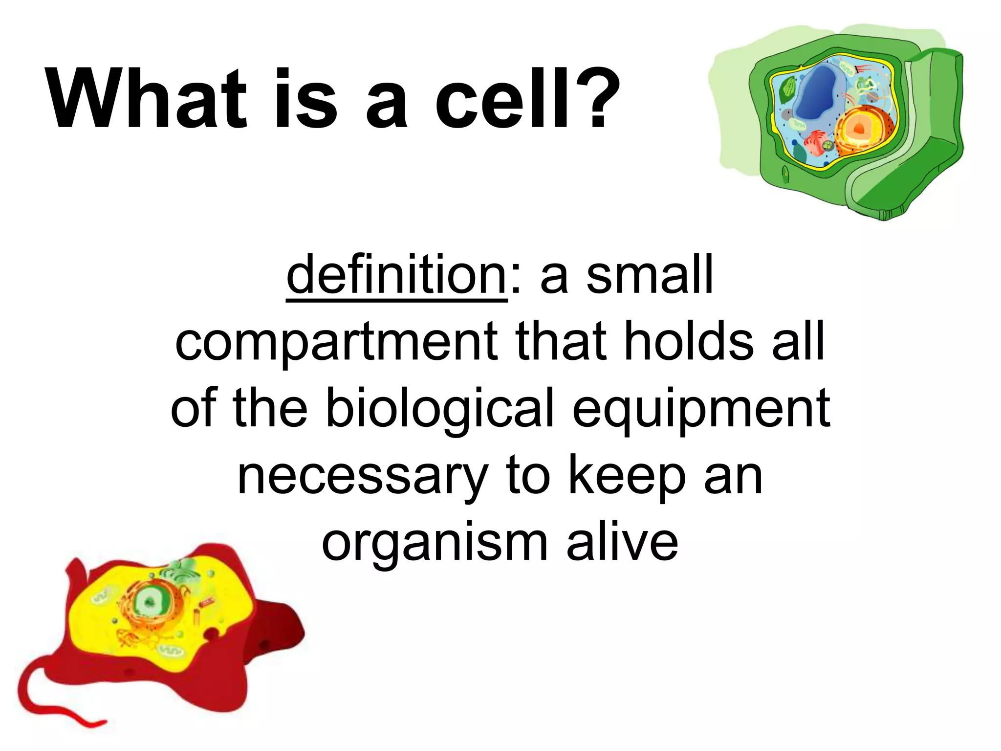 Grade 4 Unit 3 Lesson 1 Plant & Animal Cells.ppt