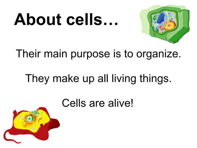 Grade 4 Unit 3 Lesson 1 Plant & Animal Cells.ppt | Biological Sciences ...