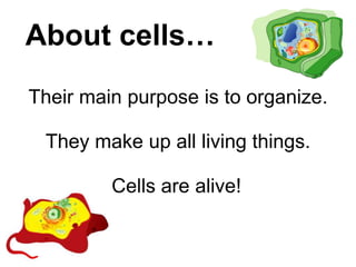 Grade 4 Unit 3 Lesson 1 Plant & Animal Cells (1).ppt