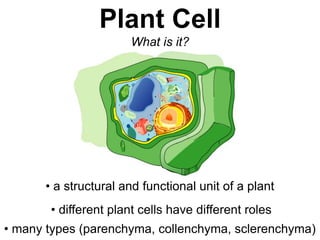 Grade 4 Unit 3 Lesson 1 Plant & Animal Cells (1).ppt