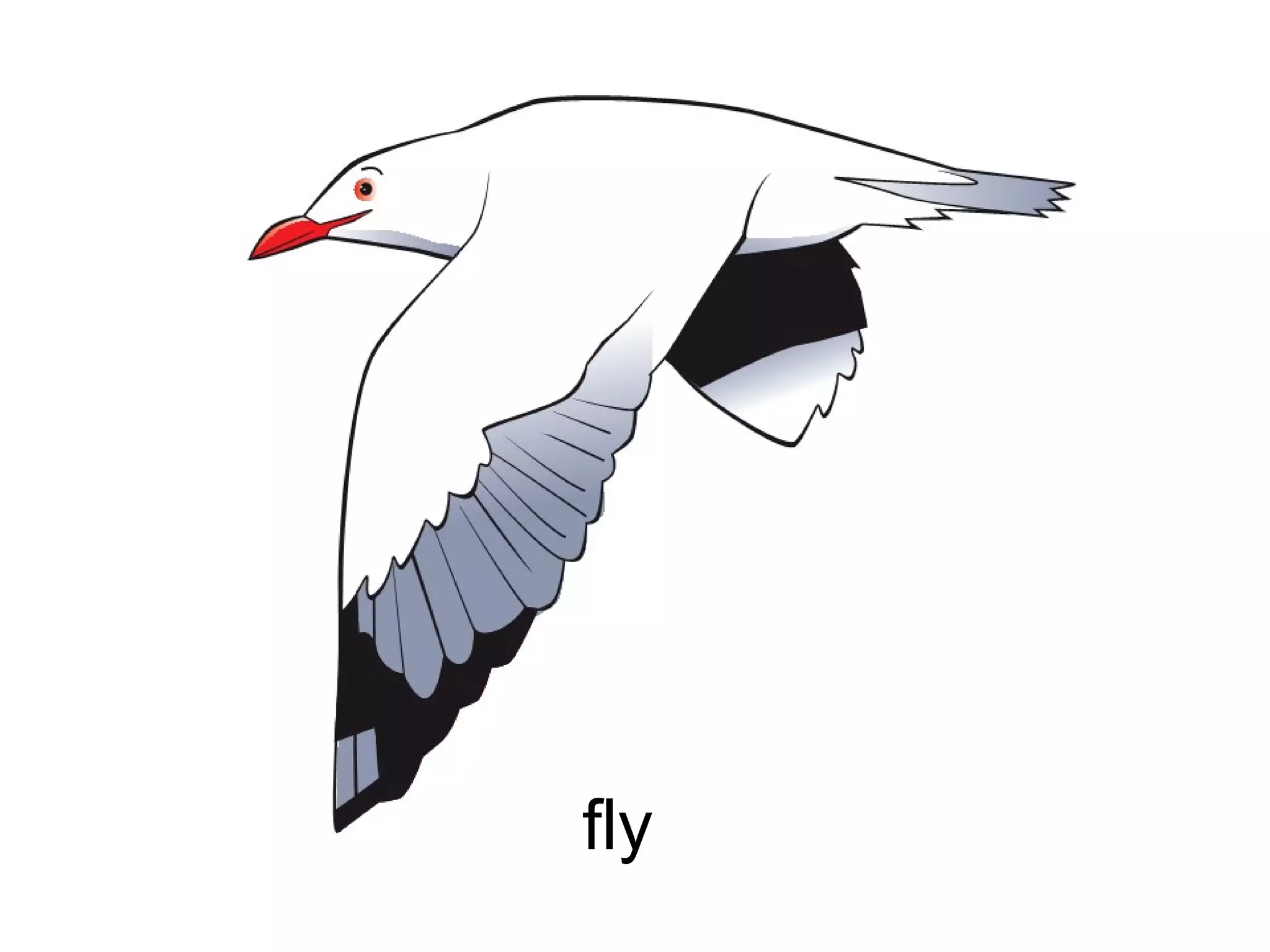 Grade 4 unit 5 lesson 1 | PPT