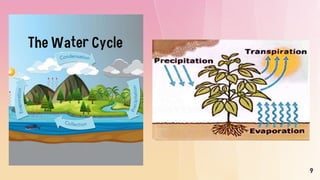 GRADE 4 POWERPOINT PRESENTATION (WATER CYCLE).ppt