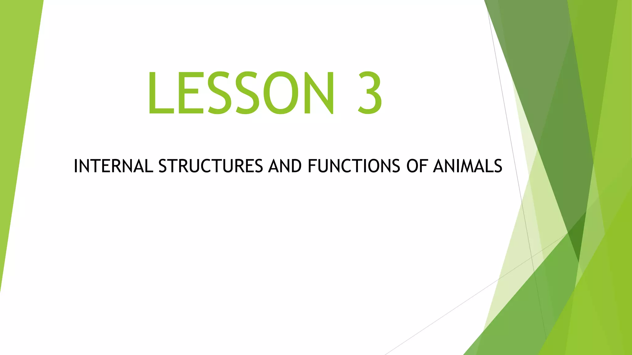 INTERNAL STRUCTURE AND FUNCTION OF ANIMAL) inspection.pptx