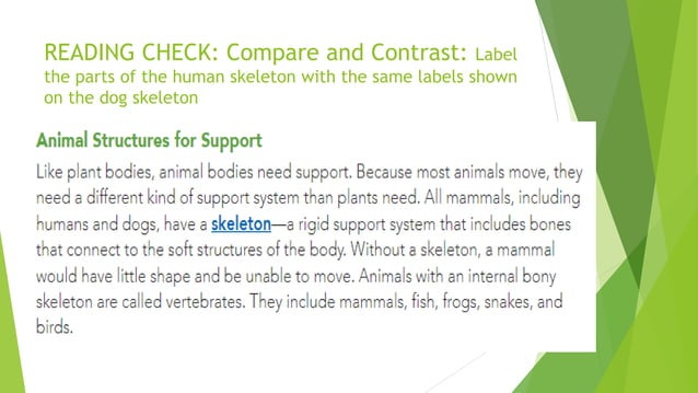 INTERNAL STRUCTURE AND FUNCTION OF ANIMAL) inspection.pptx | Heart and ...