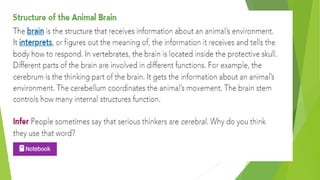 INTERNAL STRUCTURE AND FUNCTION OF ANIMAL) inspection.pptx