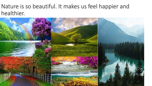 social studies - Natural Disasters | PPTX | Disasters