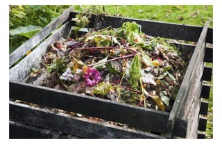 grade55rssciencewastemanagement-230121114214-07913421.pptx | Indoor ...