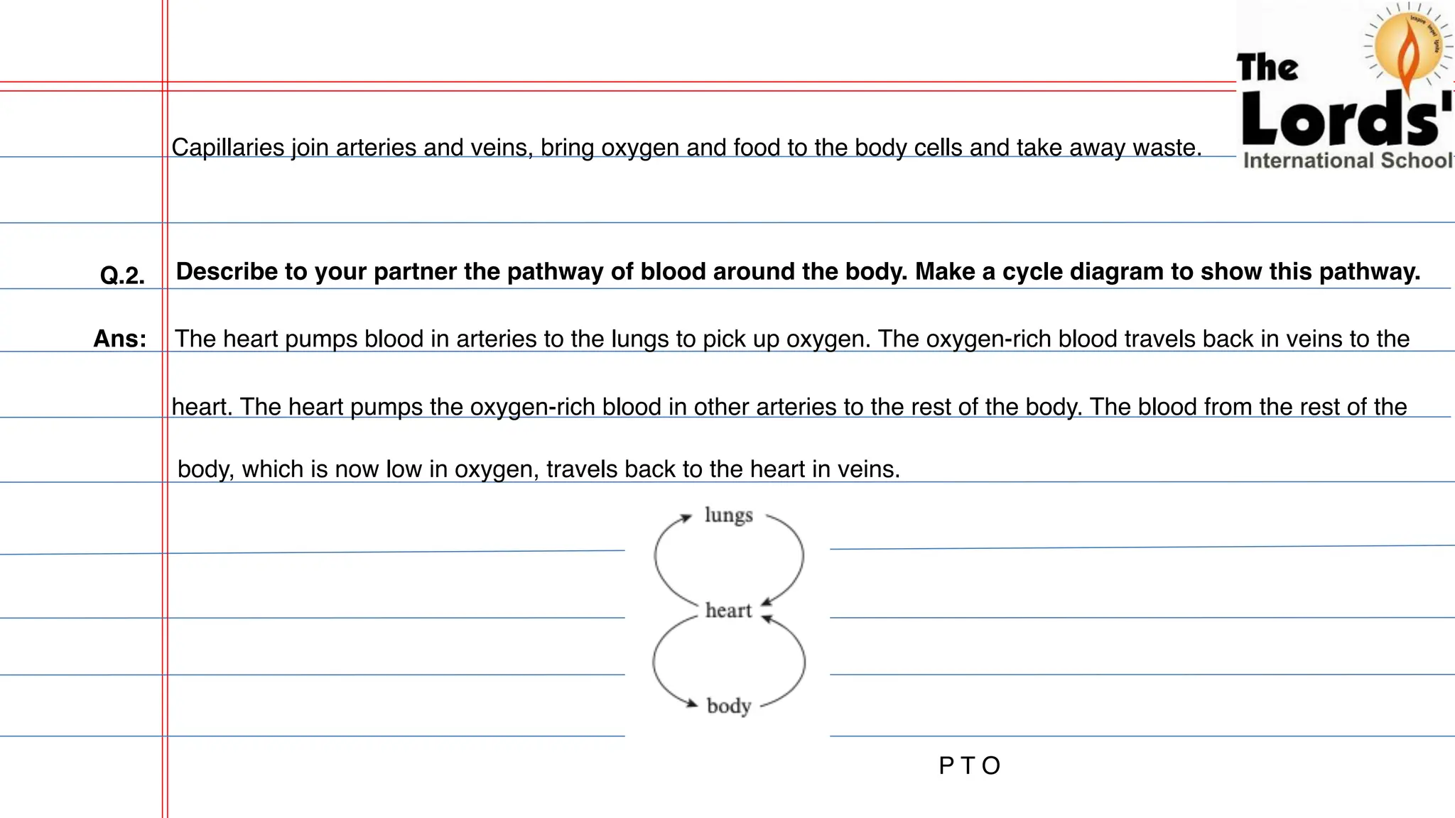 Grade 5 CW chapter 1- organ system circulatory, respiratory and ...