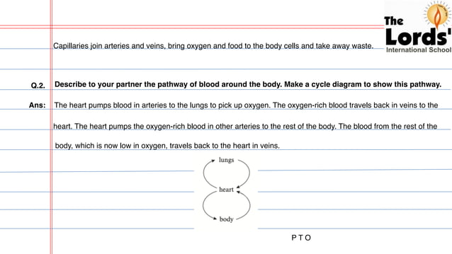 Grade 5 CW chapter 1- organ system circulatory, respiratory and ...