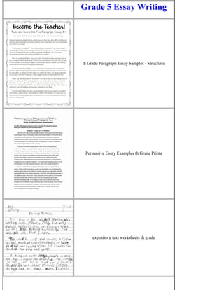 Grade 5 Essay Writing | PDF