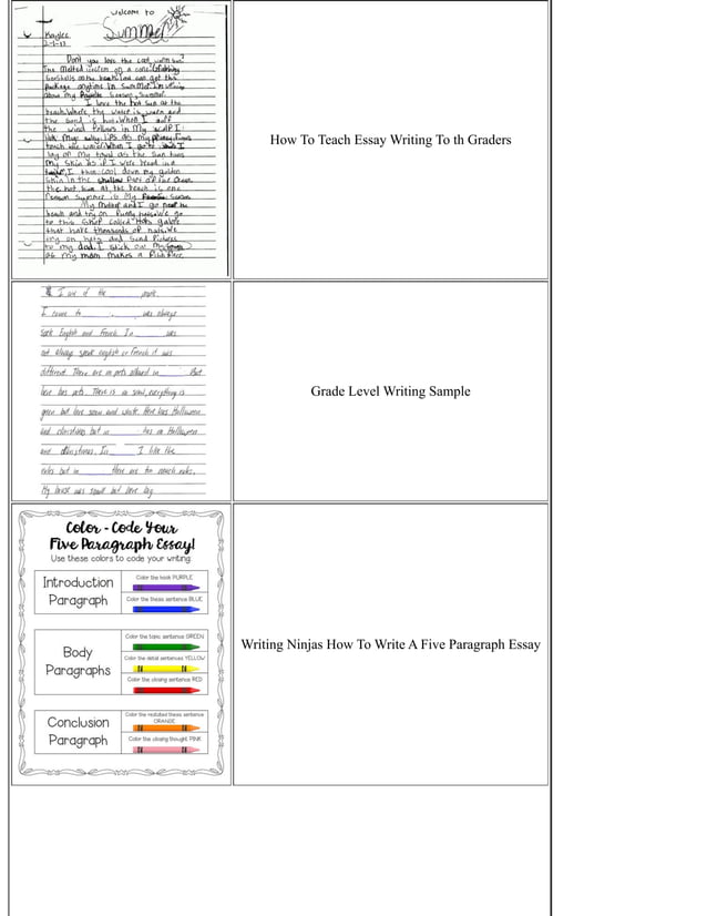 Grade 5 Essay Writing | PDF