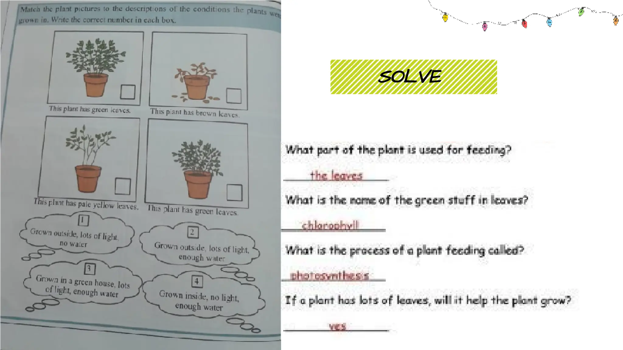 Grade 5 lesson 1.pdf unit 1 : plants and their habitats | PPT