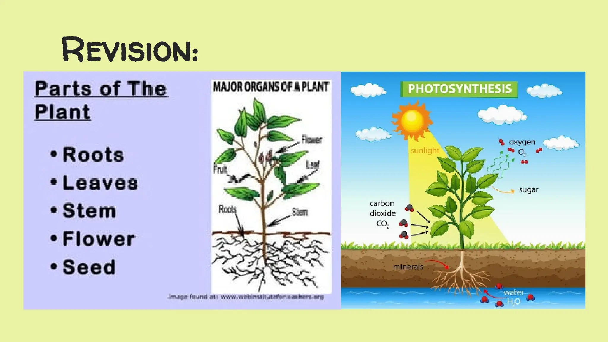 Grade 5 lesson 1.pdf unit 1 : plants and their habitats | PDF