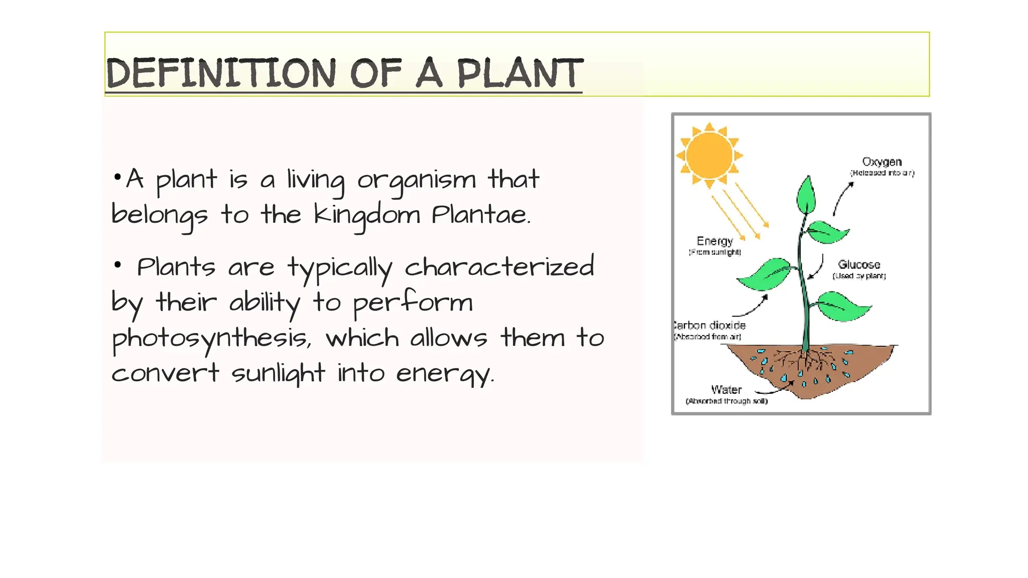 Grade 5 lesson 1.pdf unit 1 : plants and their habitats | PDF
