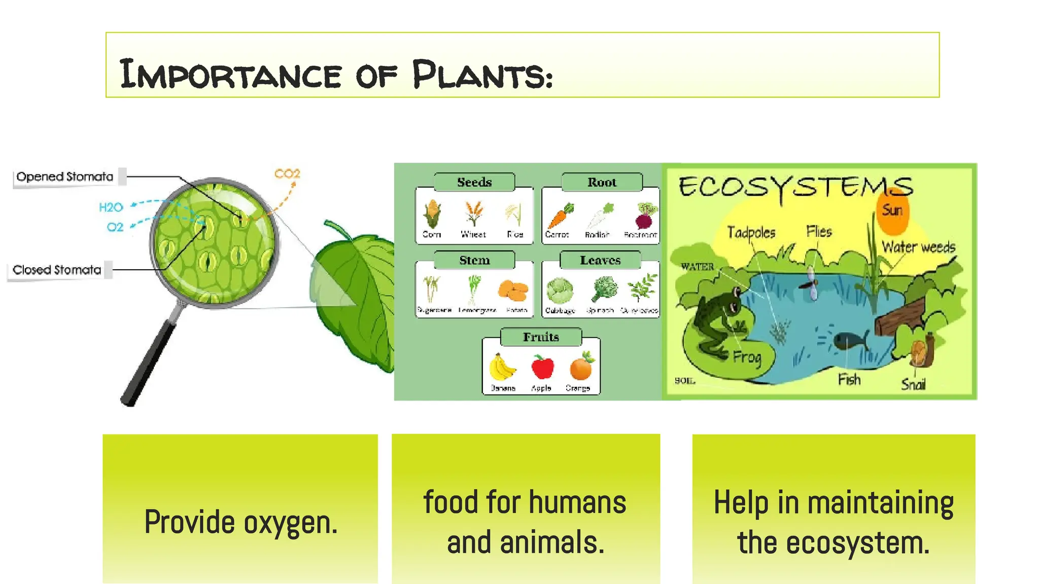 Grade 5 lesson 1.pdf unit 1 : plants and their habitats | PPT